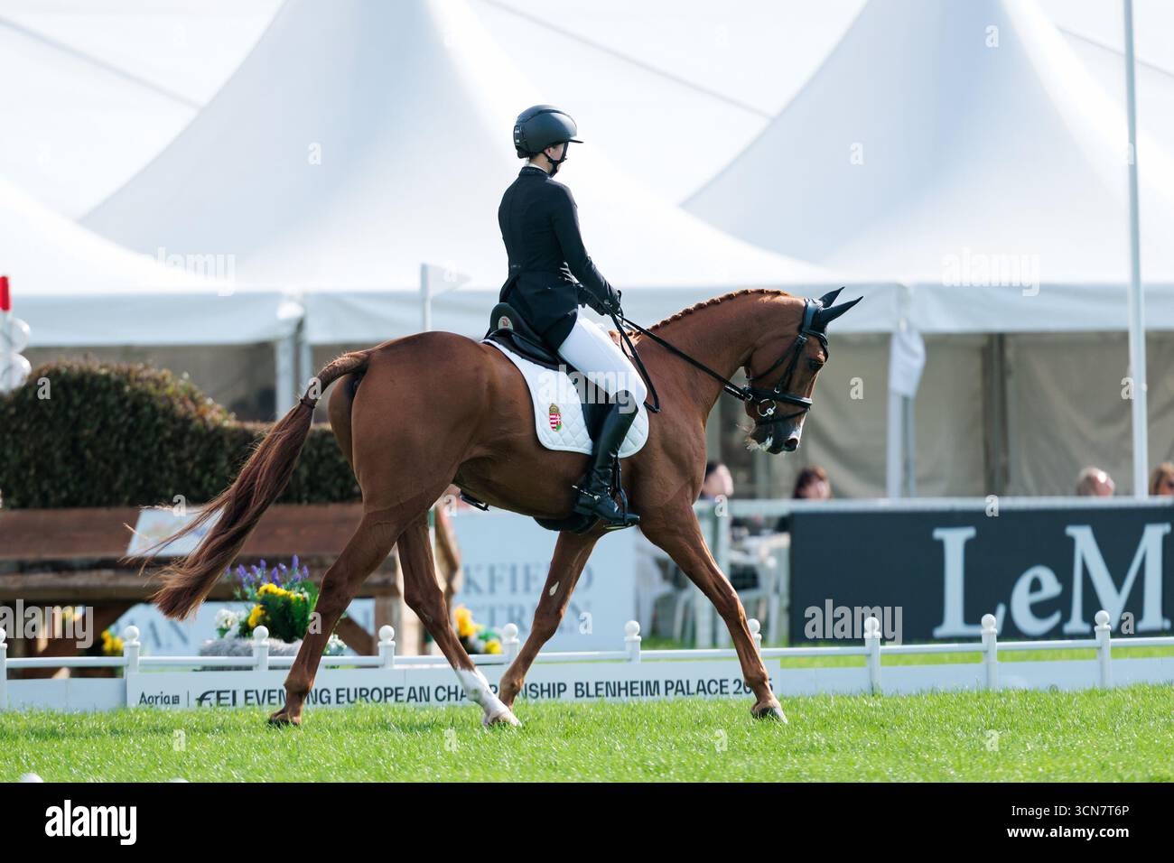 Noémi Viola Doerfer of Hungary with Piltown Harry during the dressage ...