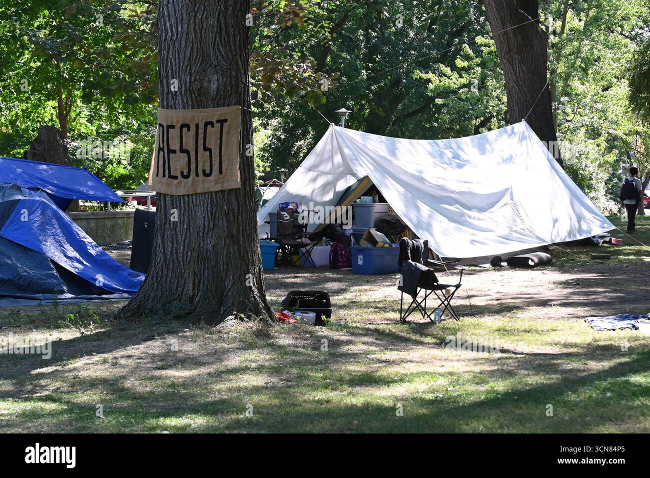 Tents of a homeless encampment are seen in Dufferin Grove Park in ...