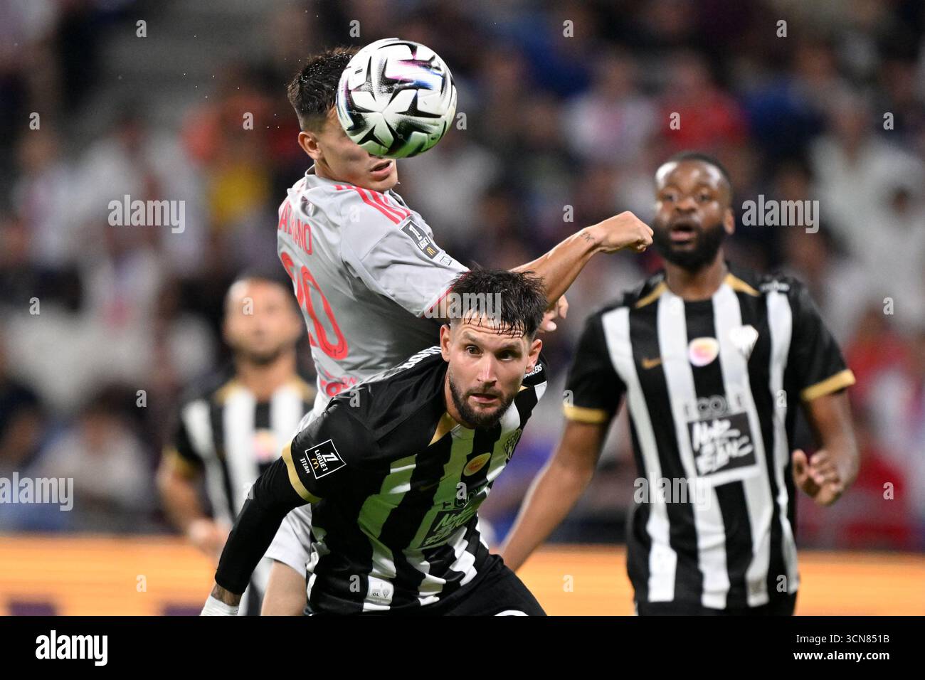 21 Jordan LEFORT (sco) during the Ligue 1 McDonald's match between ...