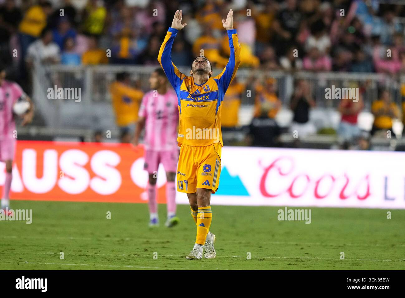 Tigres UANL forward Angel Correa (7) reacts after scoring a goal during ...