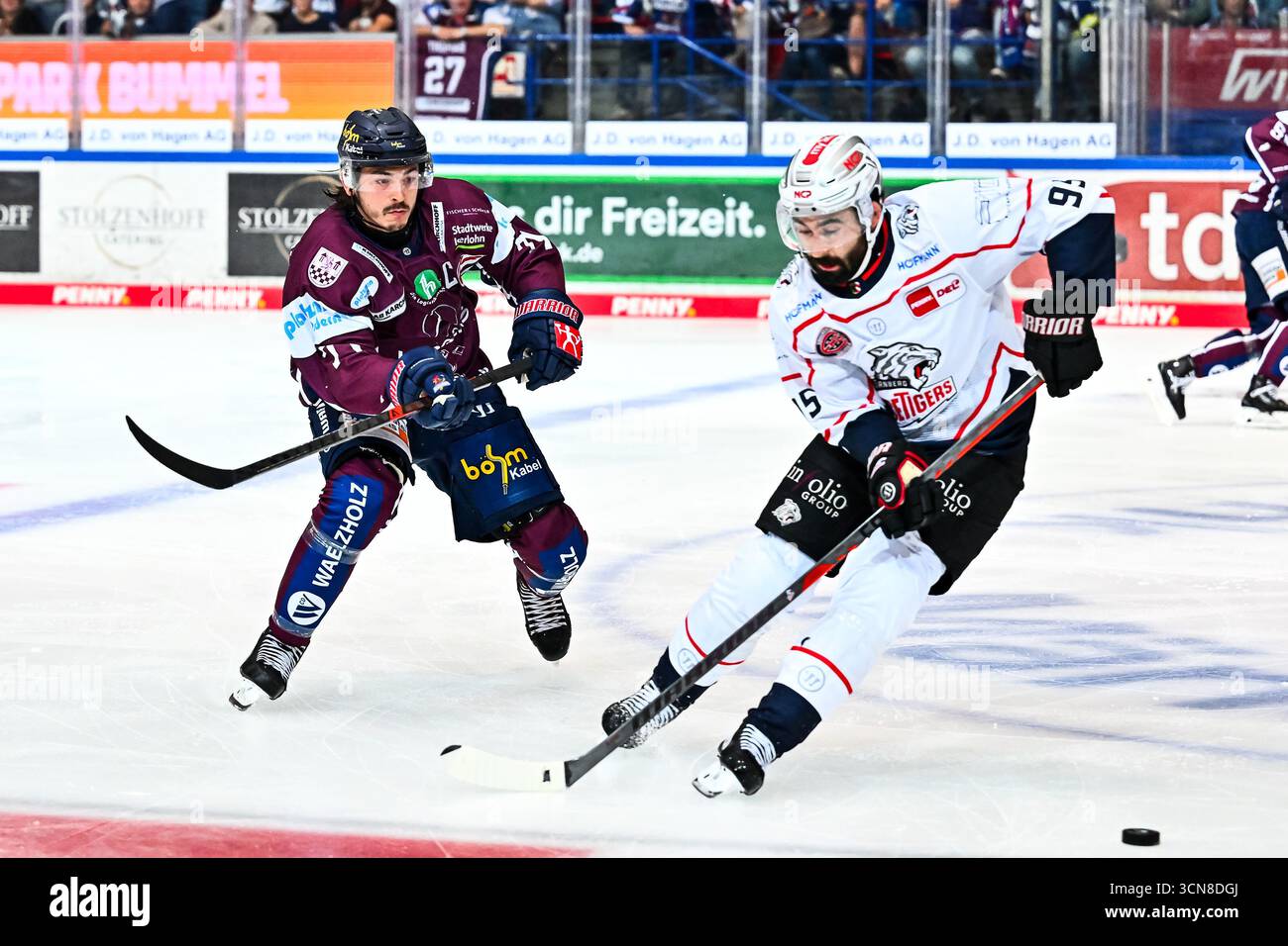 Daniel Fischbuch (Iserlohn Roosters, #71) Charlie Gerard (Nuernberg Ice ...