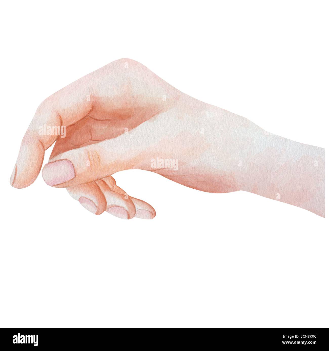 Watercolor illustration of human hand with fine skin texture. Isolated ...