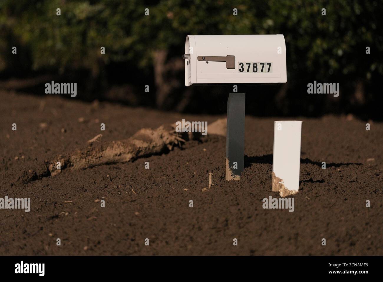 A mailbox stands in mud from mudslides after storms in Yucaipa, Calif ...