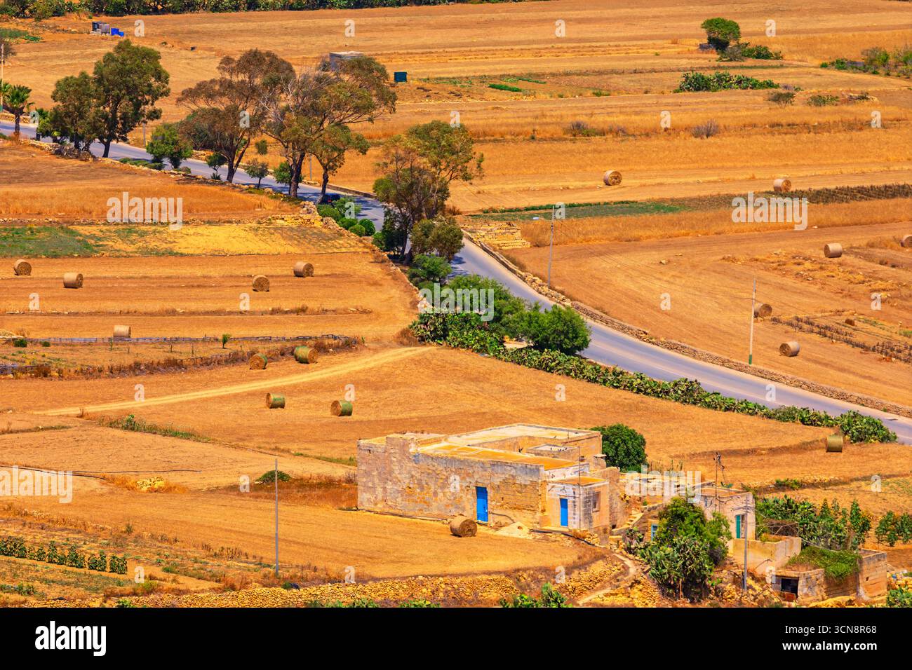 Golden fields and farmland line winding road in Maltese countryside ...