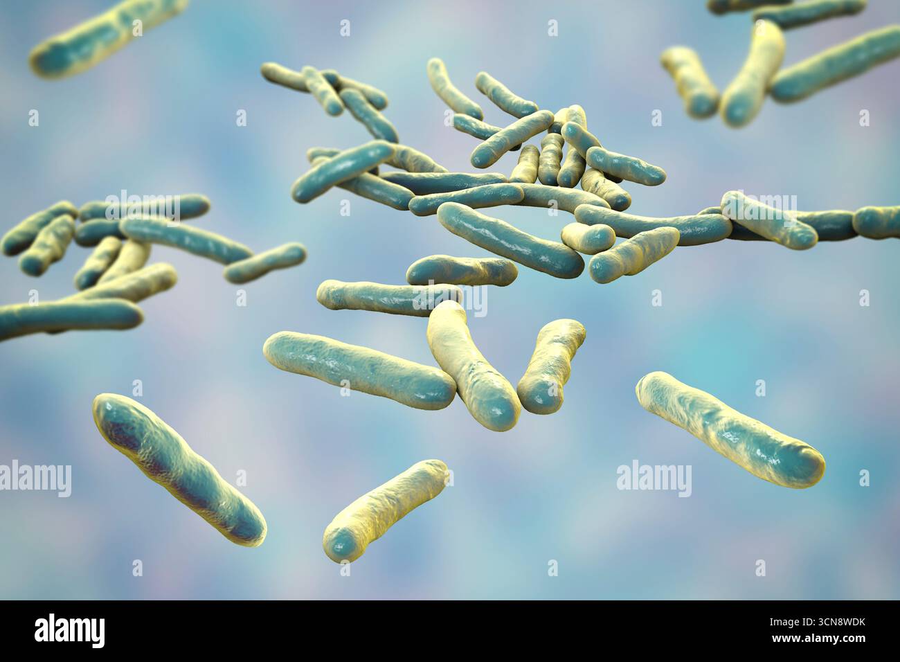 Niallia hi-res stock photography and images - Alamy