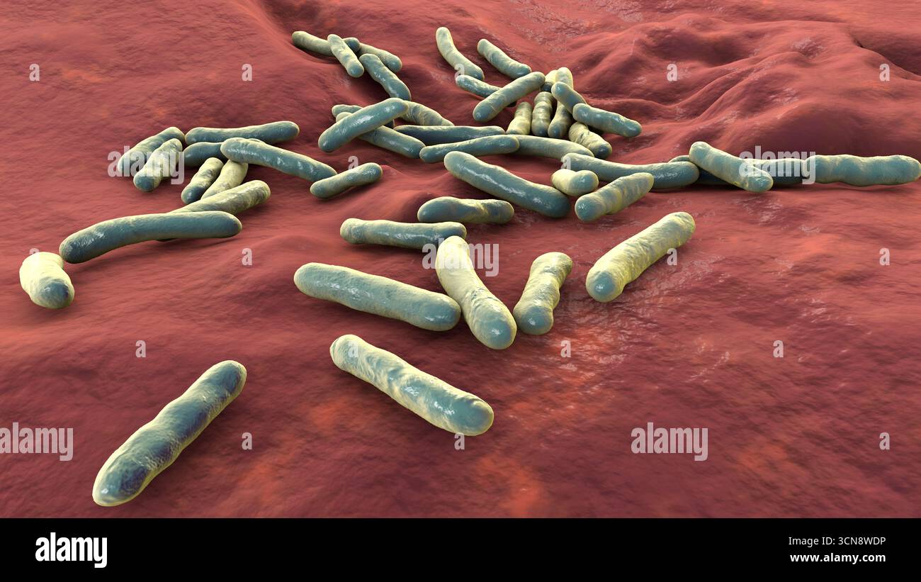 Niallia hi-res stock photography and images - Alamy