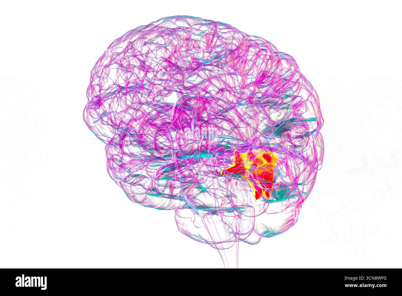 Vision processing Cut Out Stock Images & Pictures - Alamy