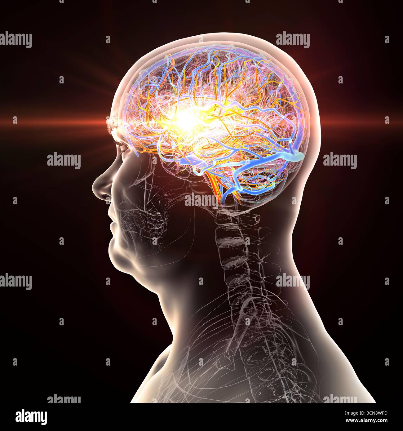 Brain stroke, conceptual illustration showing human brain with ...
