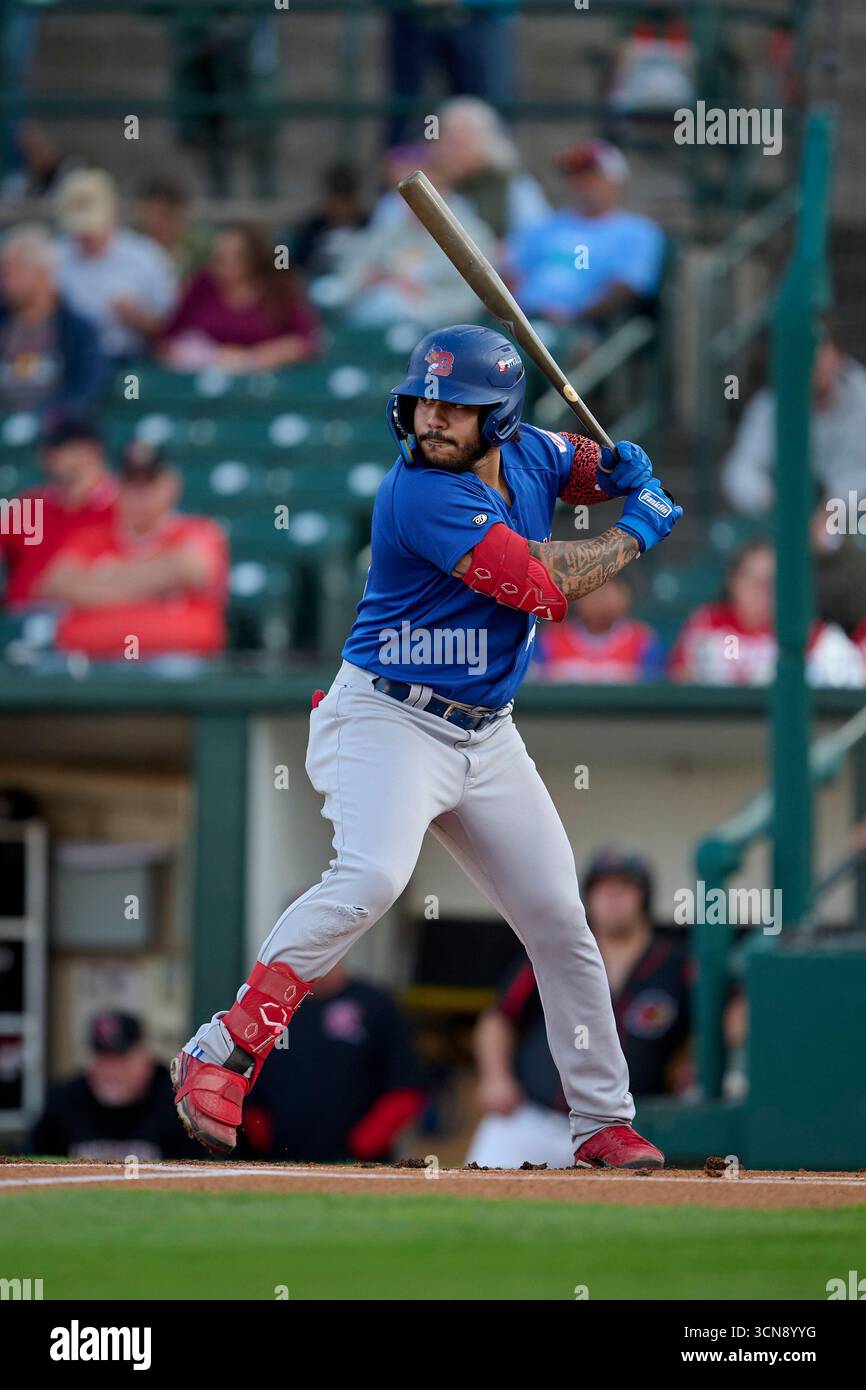 Buffalo Bisons Yohendrick Pinango (27) bats during an MiLB ...