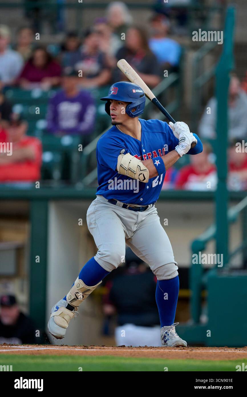 Buffalo Bisons Brandon Valenzuela (21) bats during an MiLB ...