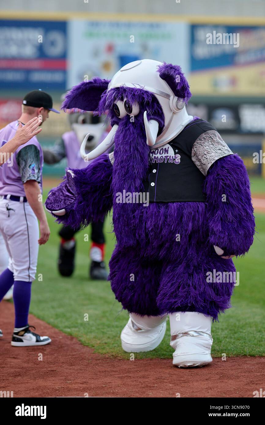 Erie Moon Mammoths mascot Fuzz OG before an MiLB Eastern League ...