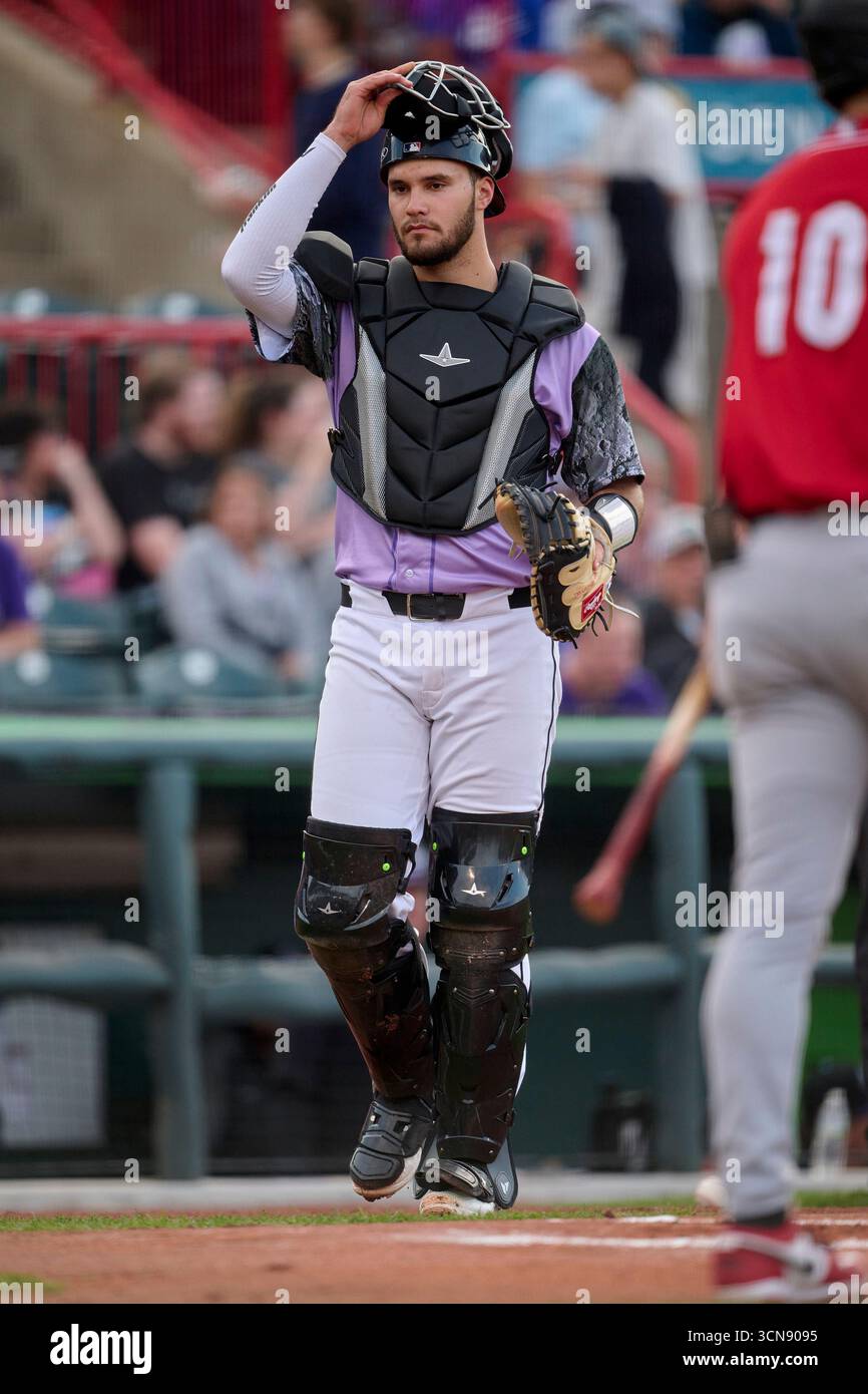 Erie Moon Mammoths catcher Josue Briceño (43) during an MiLB Eastern ...