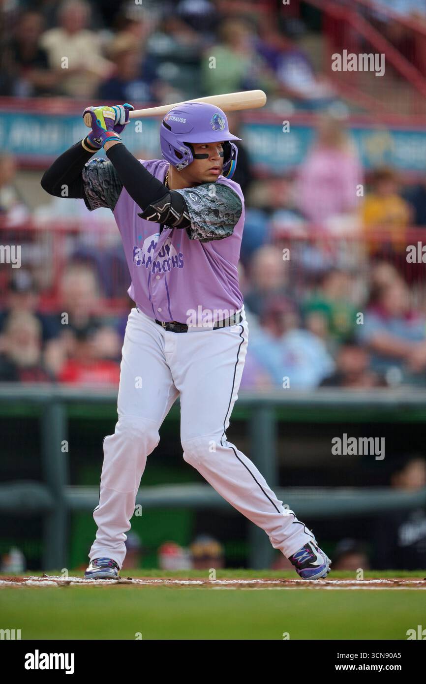 Erie Moon Mammoths Thayron Liranzo (44) bats during an MiLB Eastern ...