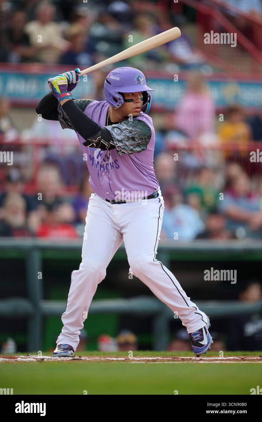 Erie Moon Mammoths Thayron Liranzo (44) bats during an MiLB Eastern ...