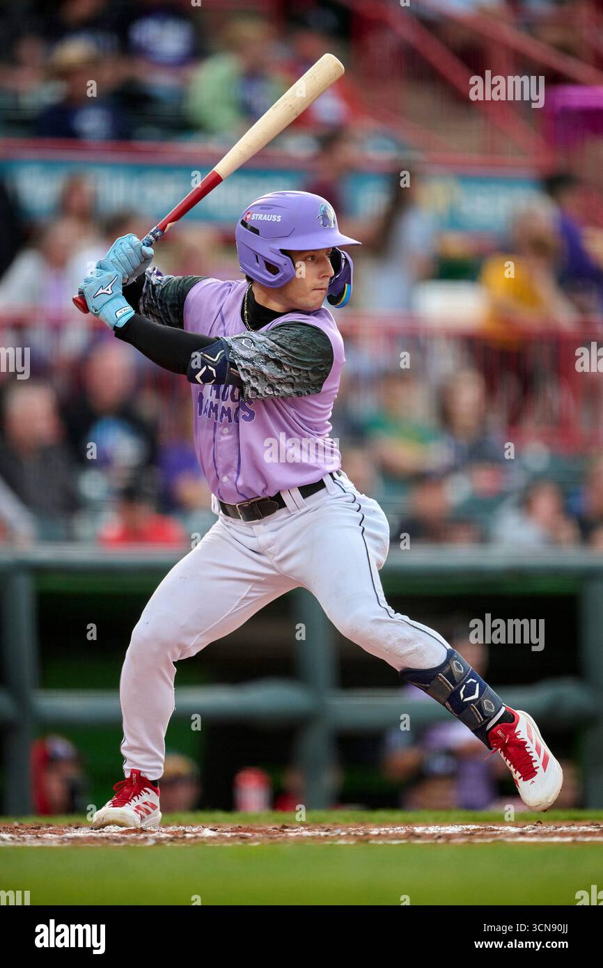 Erie Moon Mammoths Seth Stephenson (4) bats during an MiLB Eastern ...
