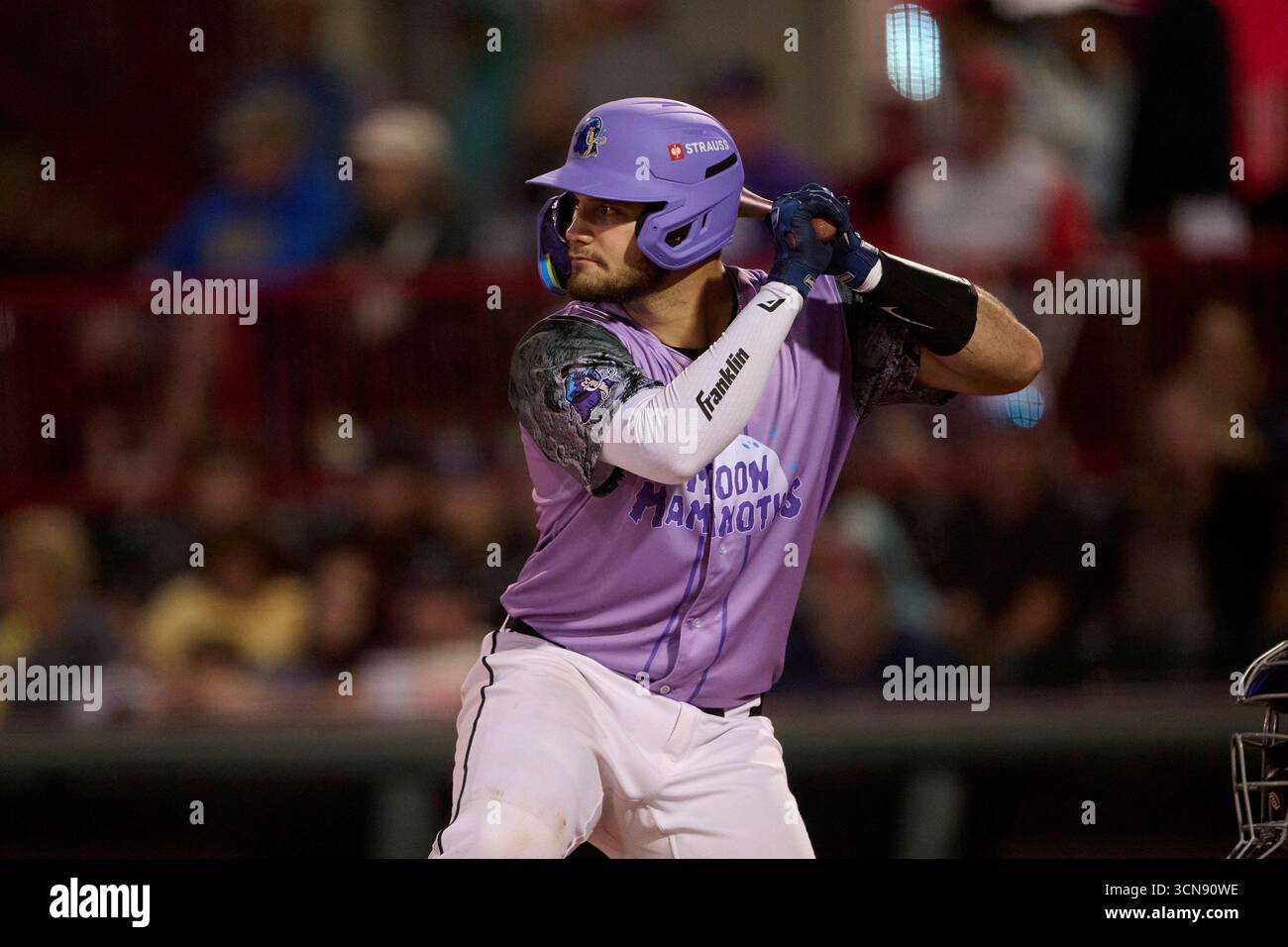Erie Moon Mammoths Josue Briceño (43) bats during an MiLB Eastern ...