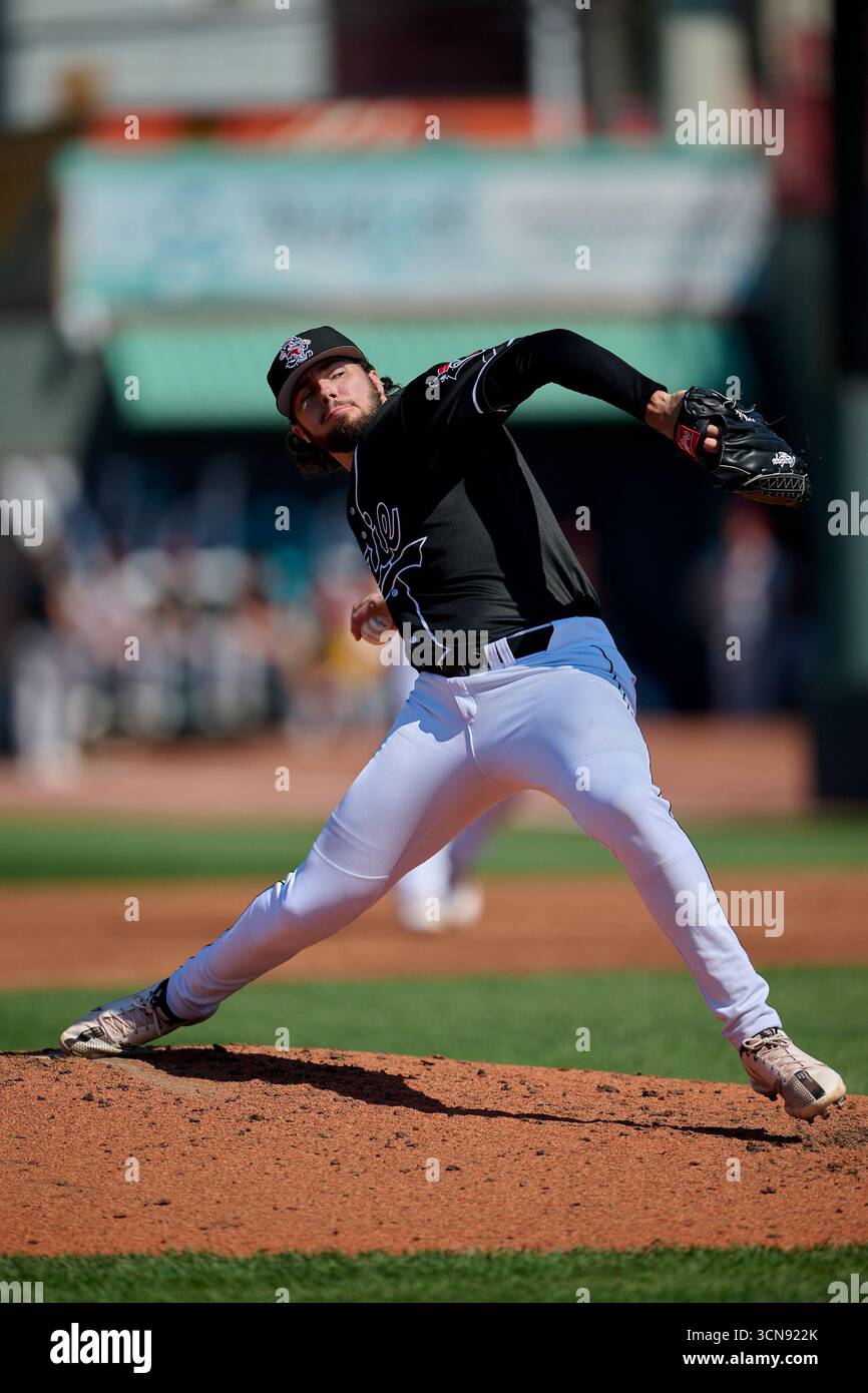 Erie SeaWolves pitcher Jaden Hamm (21) during an MiLB Eastern League ...