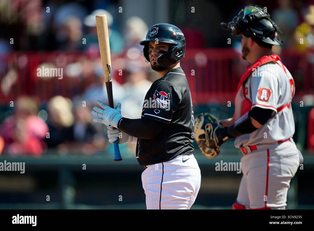 Erie SeaWolves Eliezer Alfonzo (9) bats during an MiLB Eastern League ...