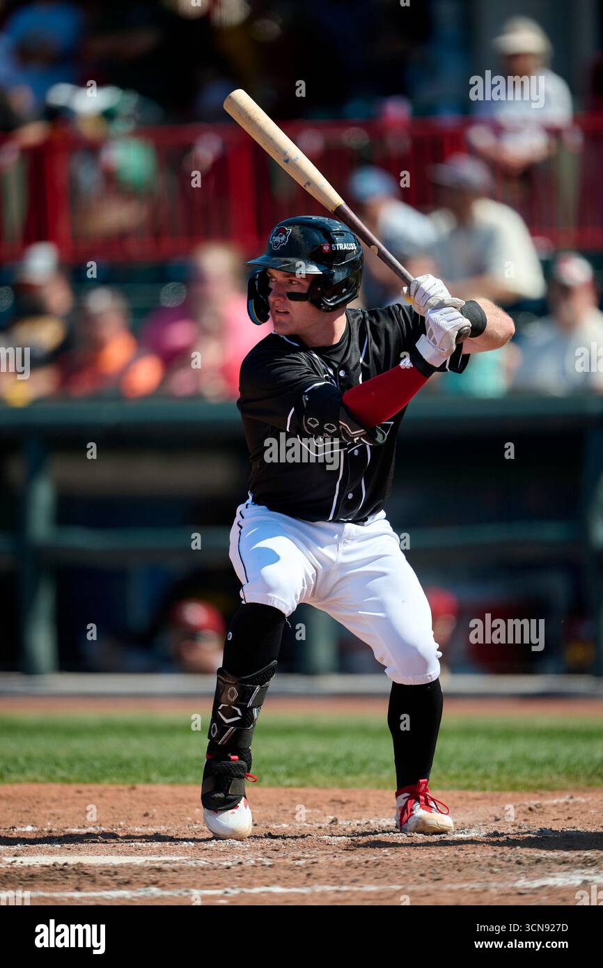 Erie SeaWolves Kevin McGonigle (2) bats during an MiLB Eastern League ...