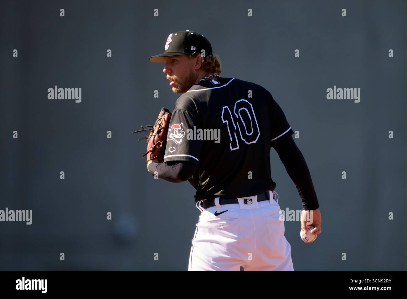 Erie SeaWolves pitcher Blair Calvo (10) during an MiLB Eastern League ...