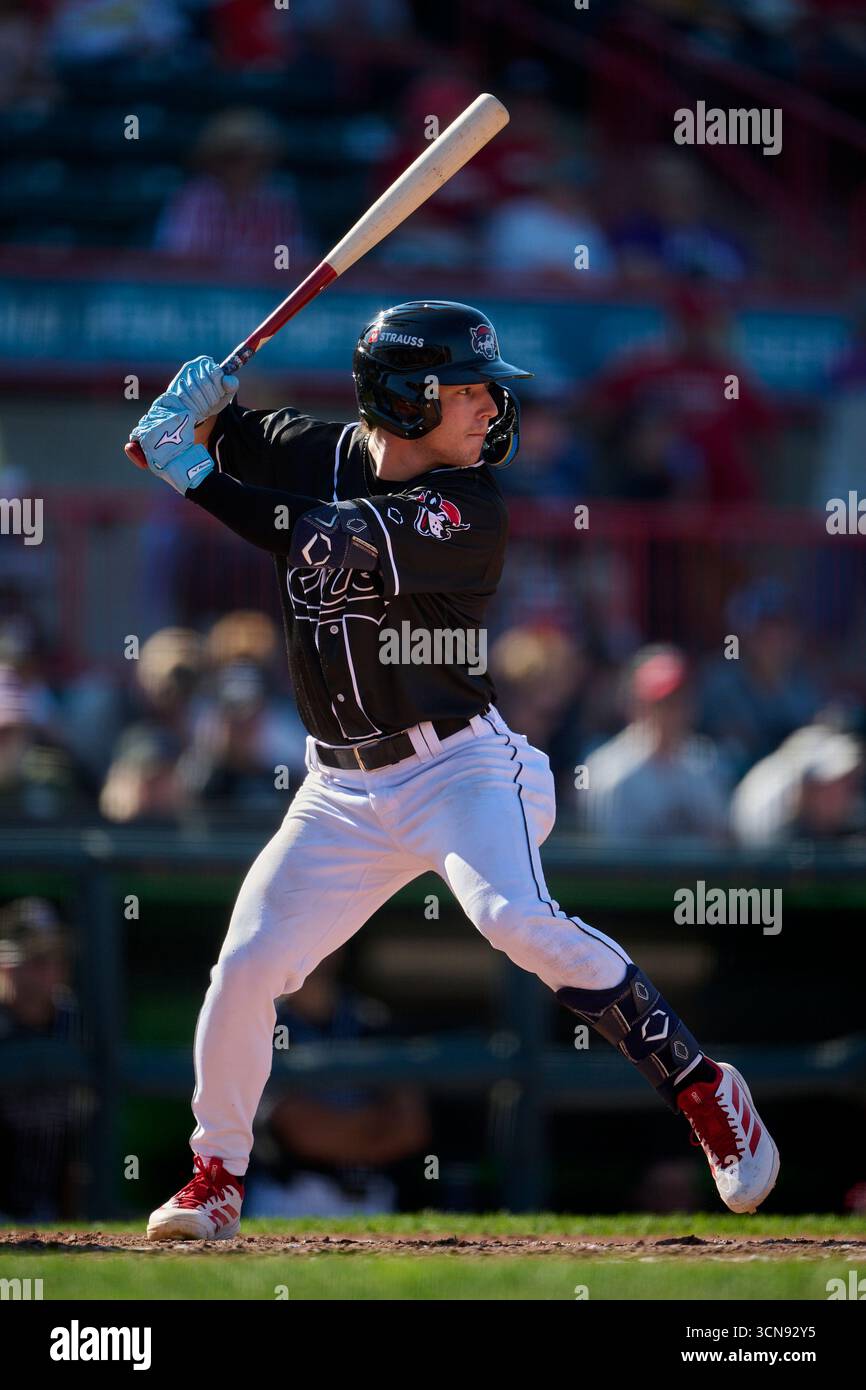 Erie SeaWolves Seth Stephenson (4) bats during an MiLB Eastern League ...