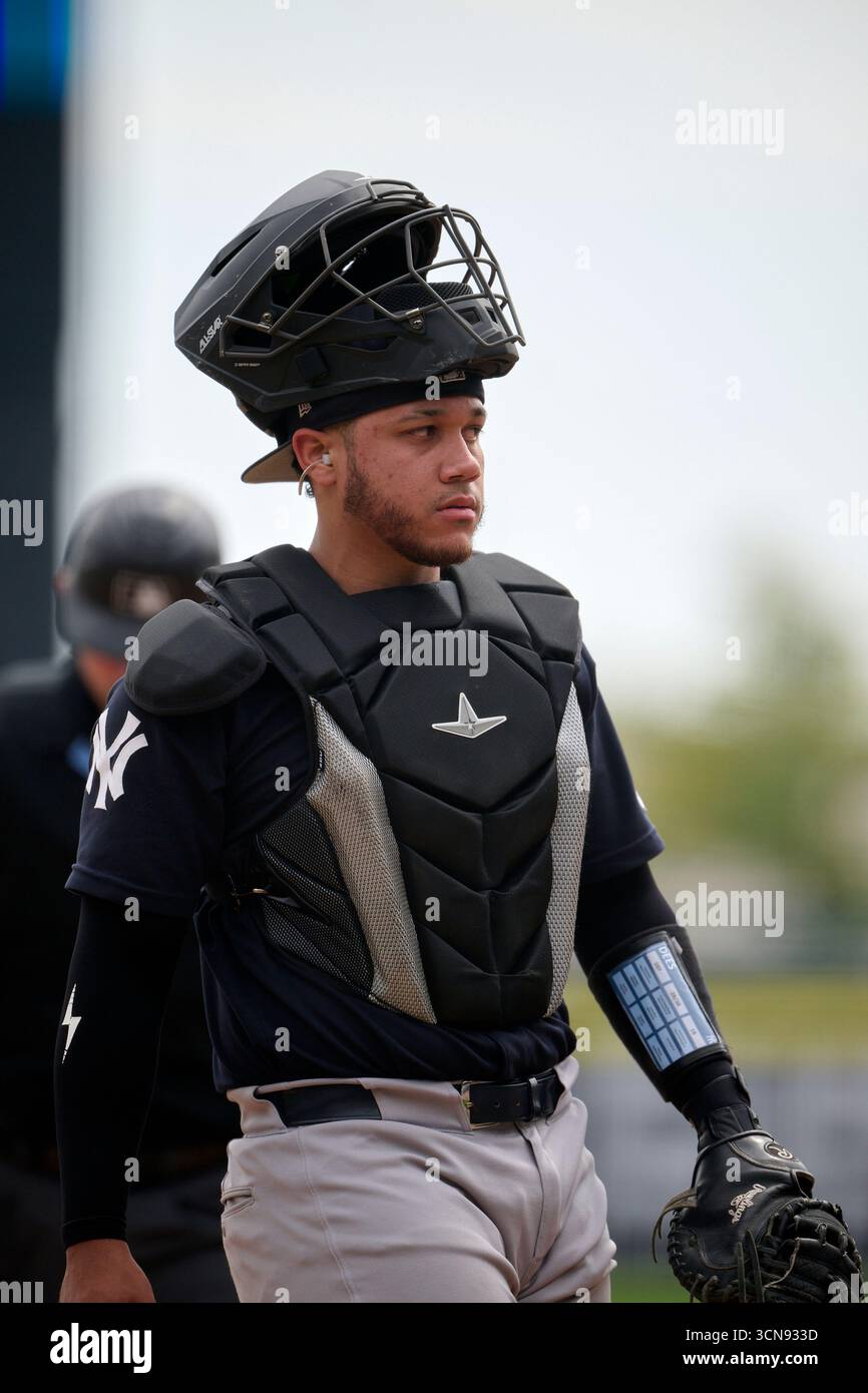 Scranton/Wilkes-Barre RailRiders catcher Omar Martinez (3) during an MiLB International League ...