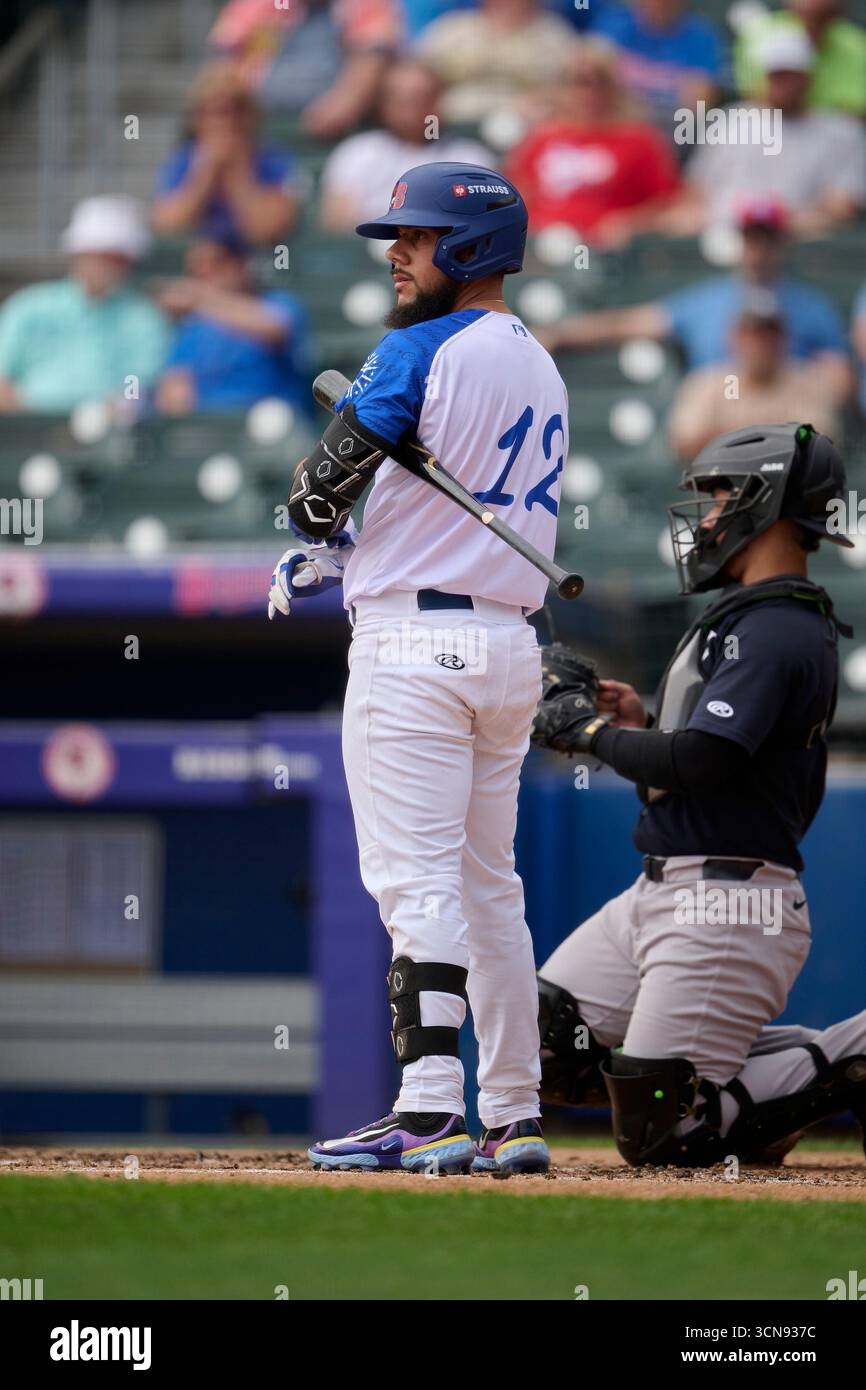 Buffalo Bisons René Pinto (12) bats during an MiLB International League ...
