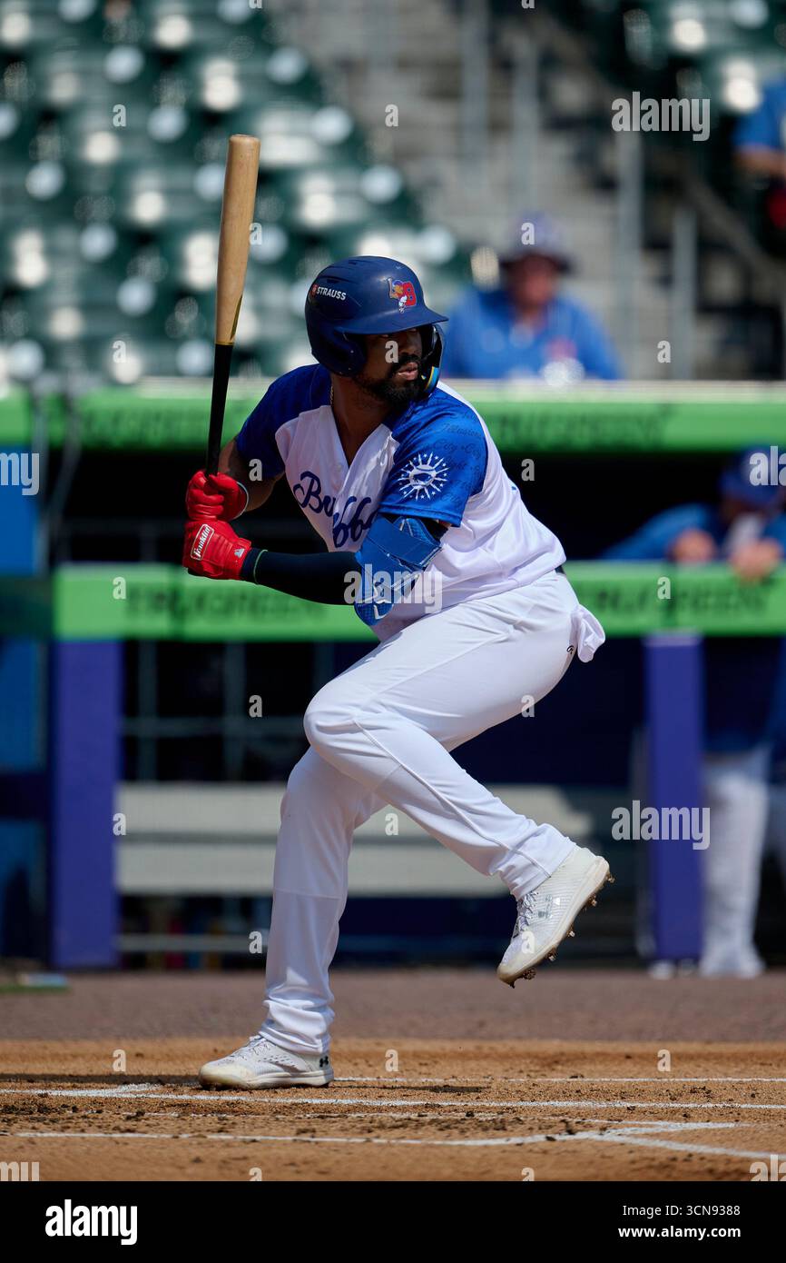 Buffalo Bisons Eloy Jiménez (24) bats during an MiLB International ...