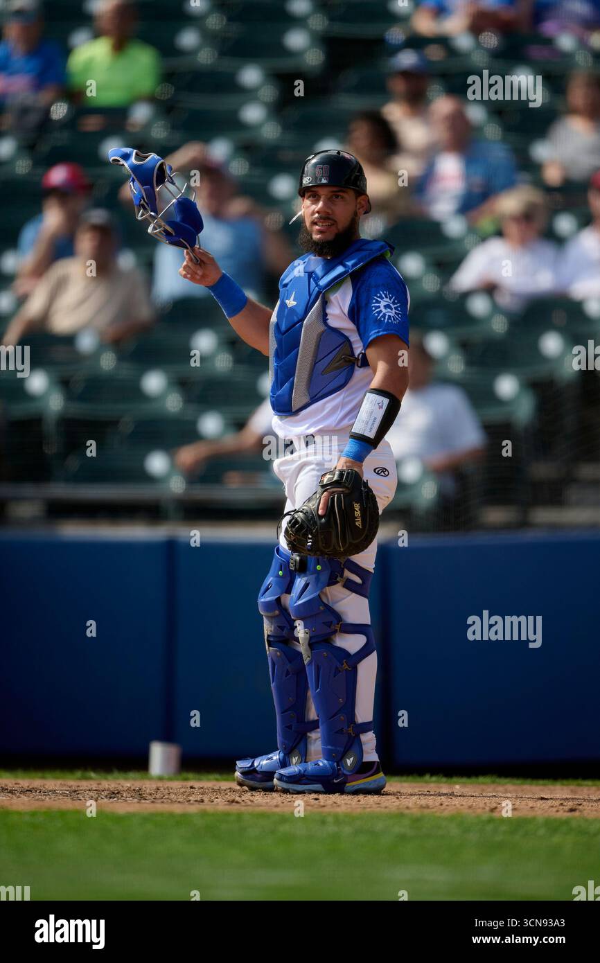 Buffalo Bisons catcher René Pinto (12) during an MiLB International ...