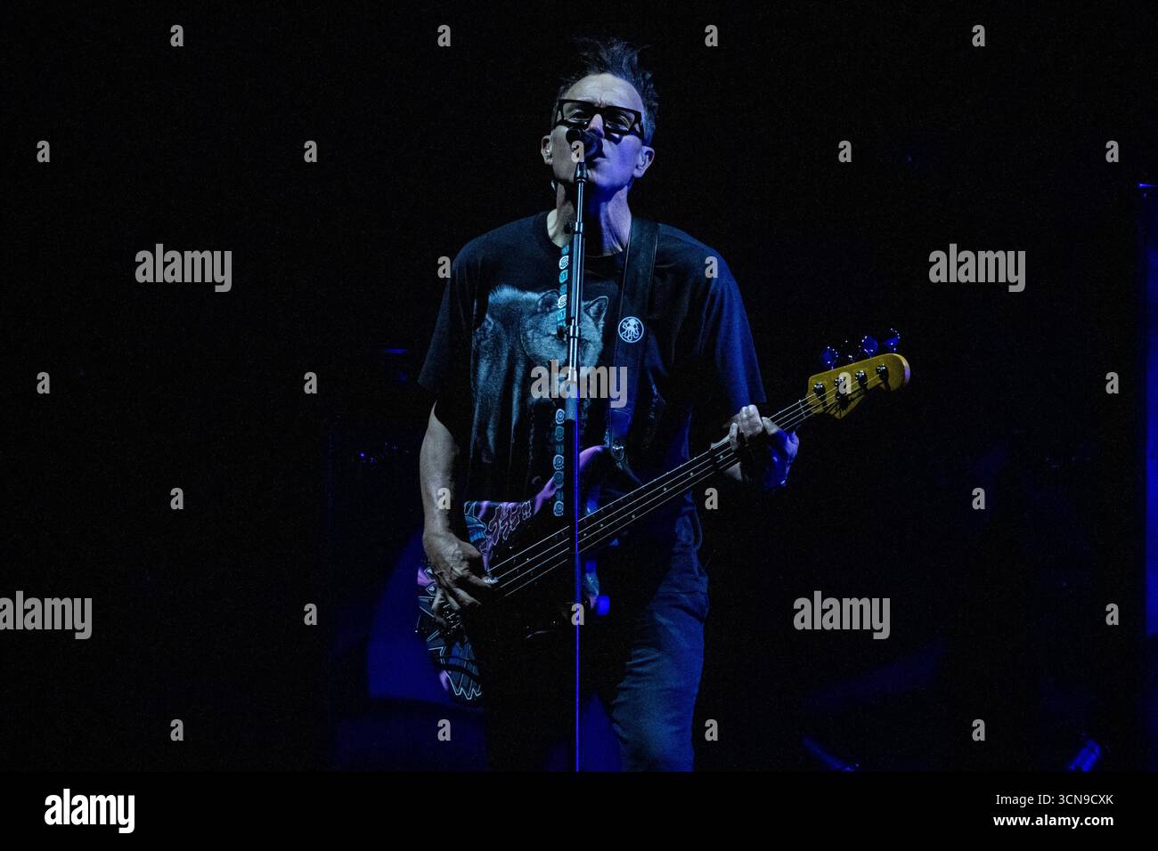 Mark Hoppus of Blink-182 performs at Riot Fest in Chicago, IL on Friday ...