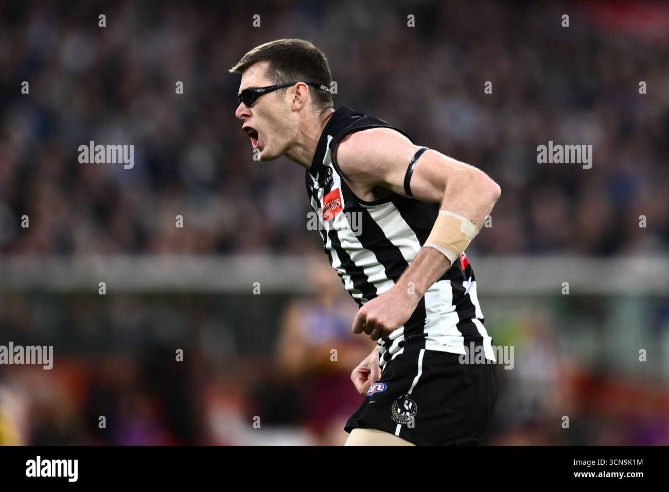 Mason Cox of Collingwood celebrates scoring a goal during the AFL ...