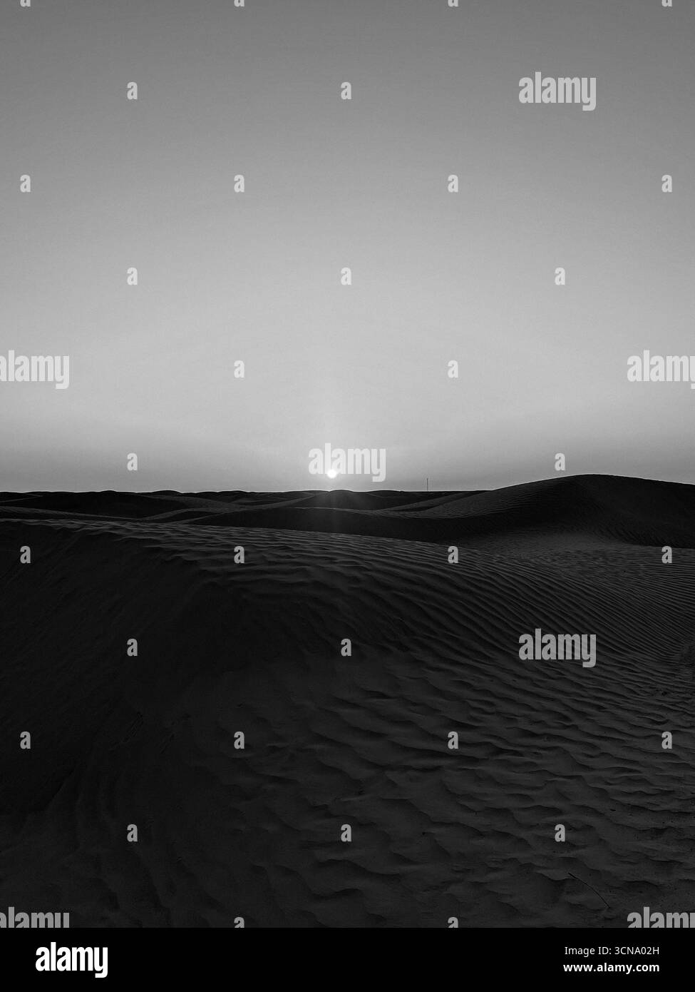 Vast golden dunes of Douz in the Tunisian desert under a clear blue sky ...