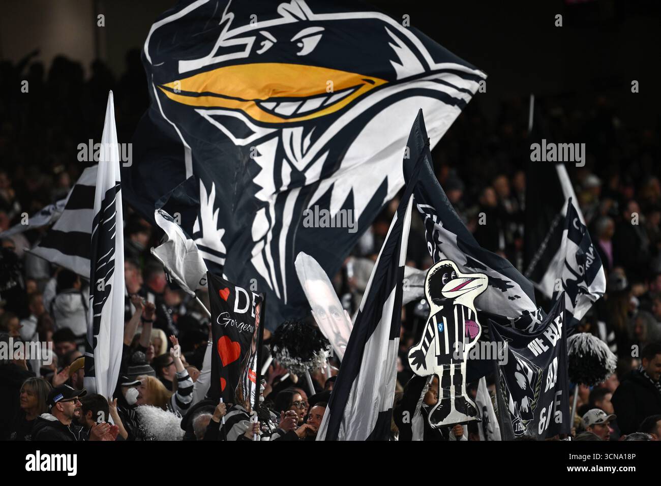 Collingwood supporters celebrate during the AFL Preliminary Final match ...