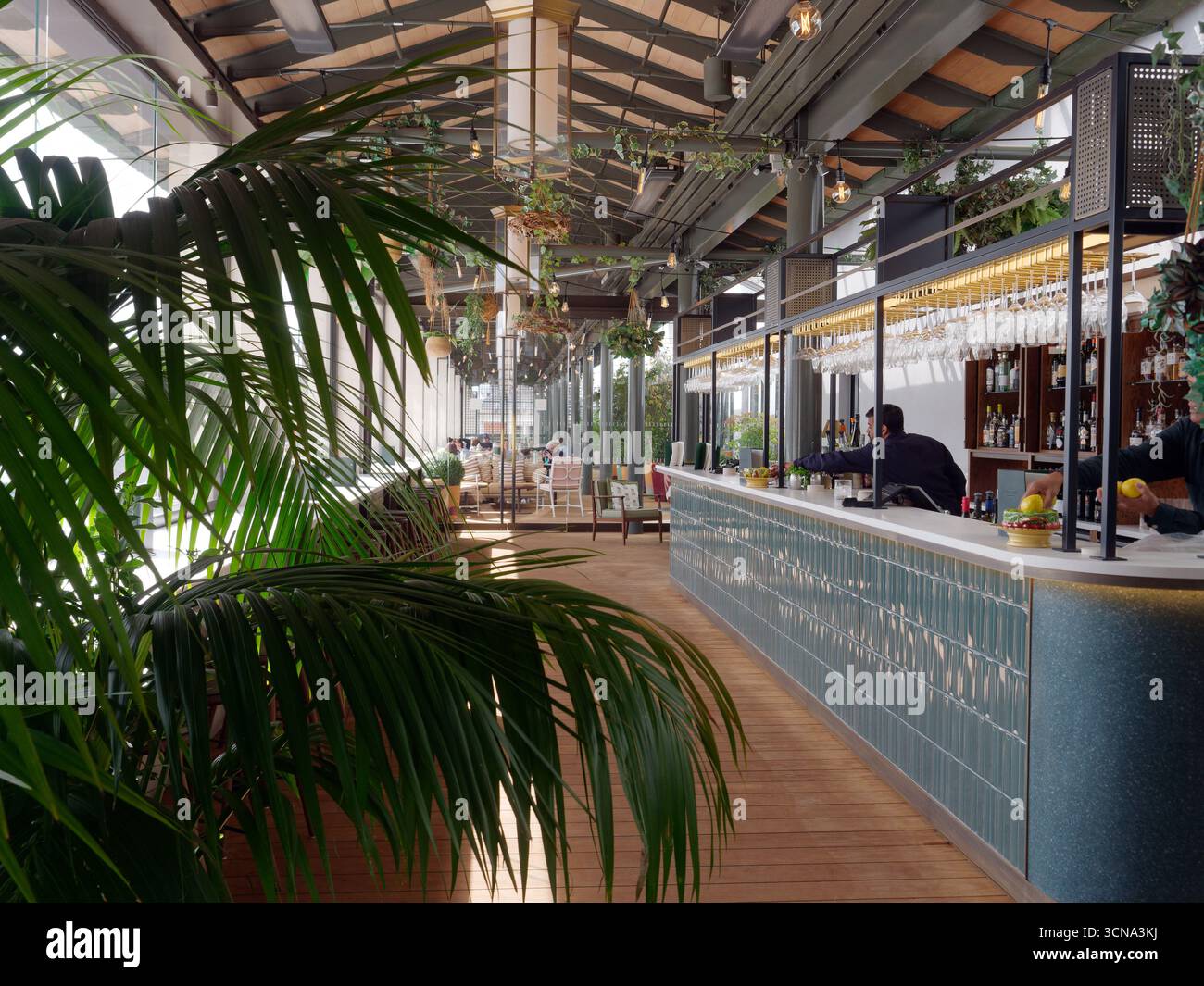Barman at a Bar inside the The Royal Opera House in London, England ...