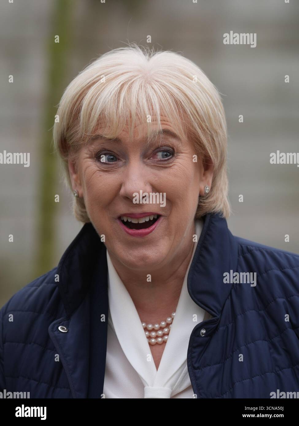Fine Gael presidential candidate Heather Humphreys arrives to meet ...