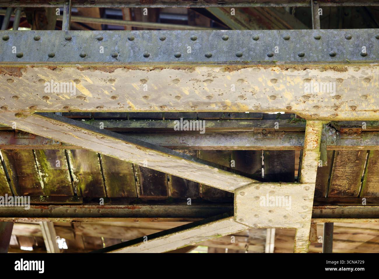 Genietete Stahlträger einer alten Eisenbahnbrücke über die Pegnitz ...