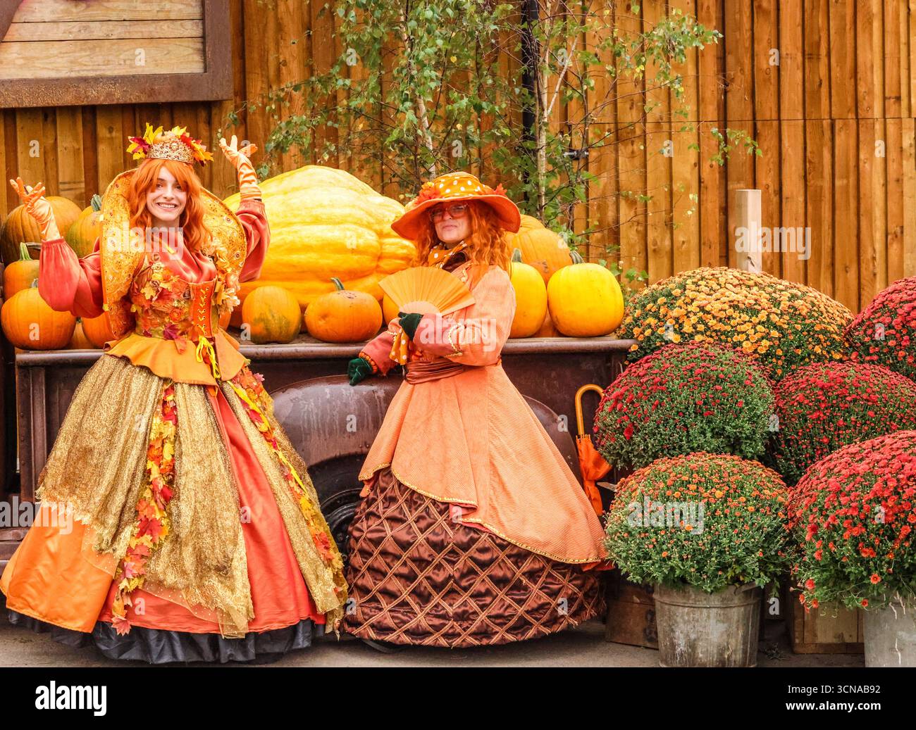 tulleys Farm West Sussex England 20 Sep 2025 The seasonal Pumpkin ...