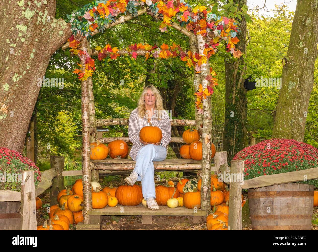 tulleys Farm West Sussex England 20 Sep 2025 The seasonal Pumpkin ...