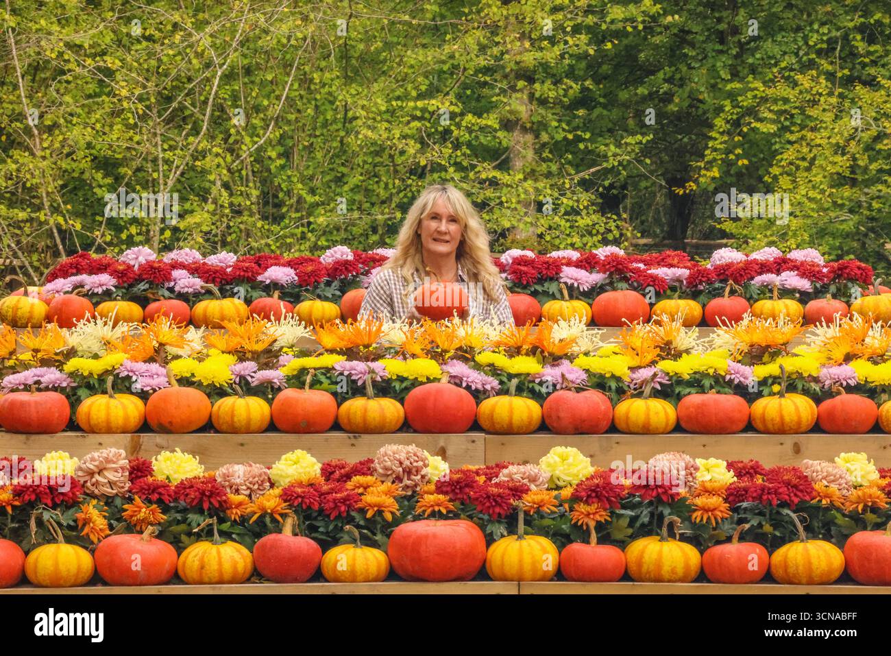 tulleys Farm West Sussex England 20 Sep 2025 The seasonal Pumpkin ...