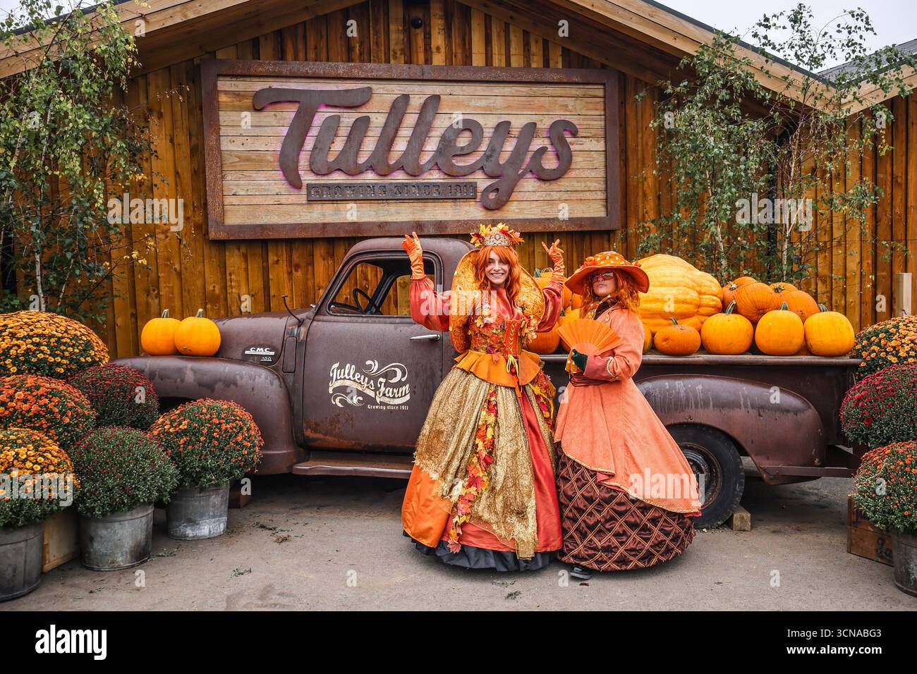 Tulleys Farm West Sussex England 20 Sep 2025 The seasonal Pumpkin ...