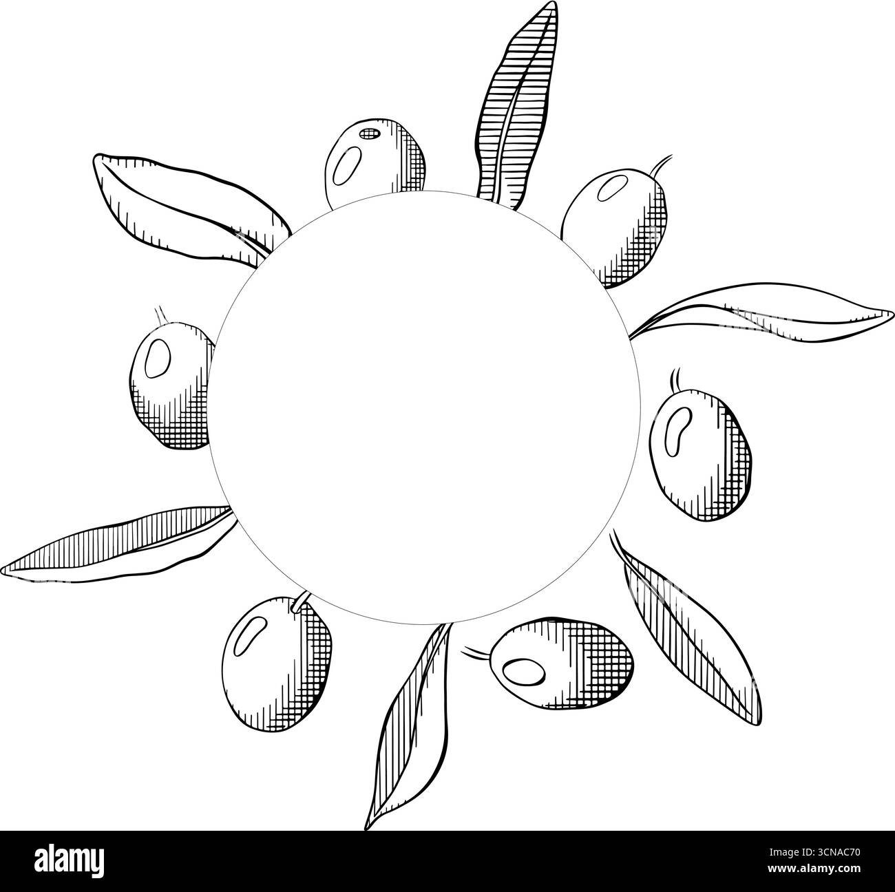 Vegetarian menu card Black and White Stock Photos & Images - Alamy