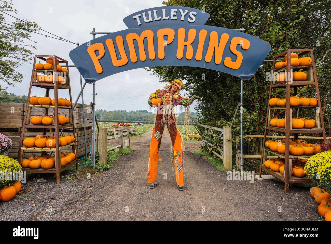 tulleys Farm West Sussex England 20 Sep 2025 The seasonal Pumpkin ...
