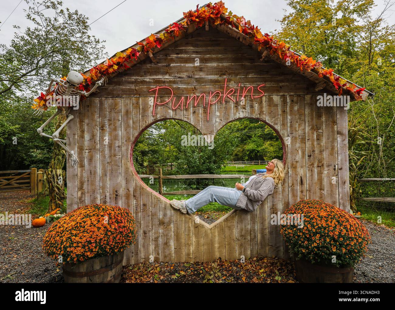 tulleys Farm West Sussex England 20 Sep 2025 The seasonal Pumpkin ...