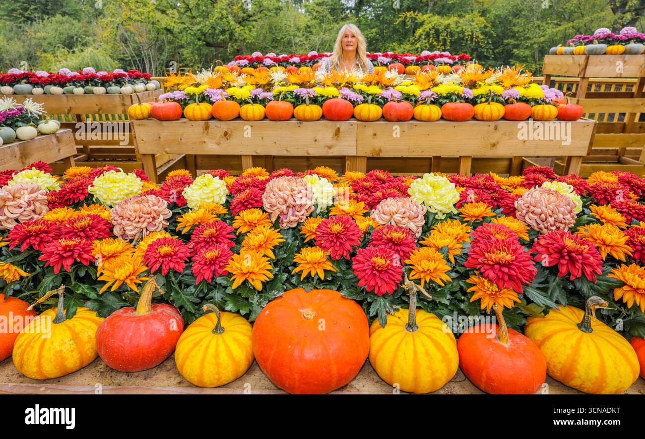 tulleys Farm West Sussex England 20 Sep 2025 The seasonal Pumpkin ...