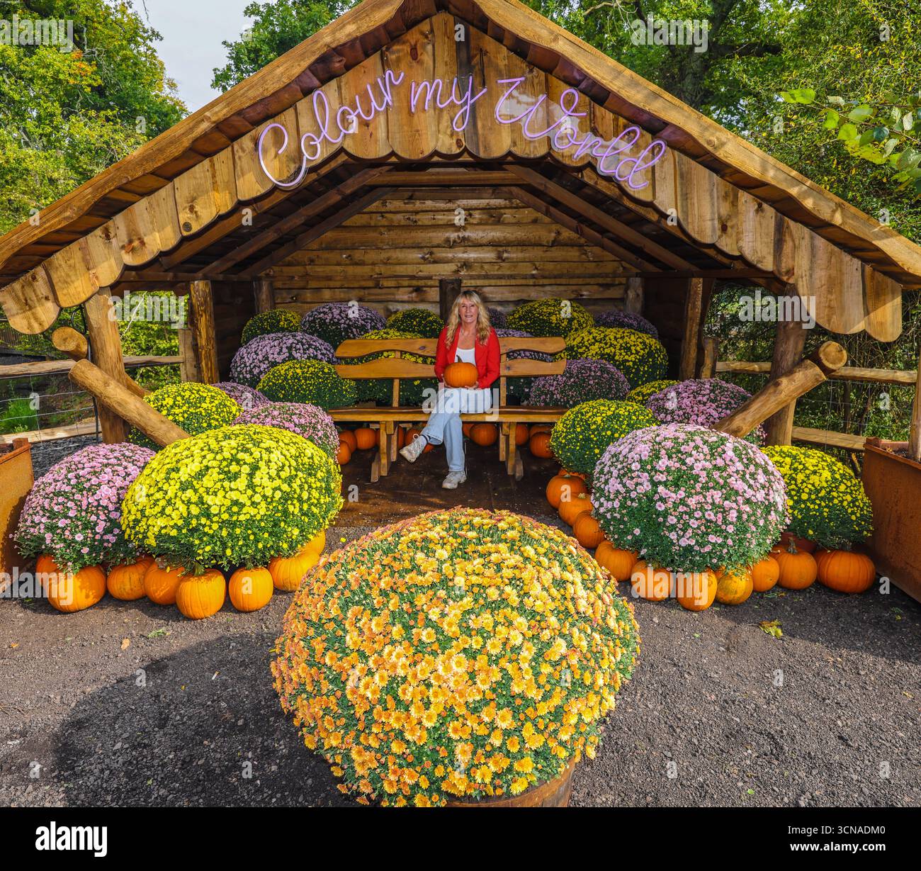 tulleys Farm West Sussex England 20 Sep 2025 The seasonal Pumpkin ...