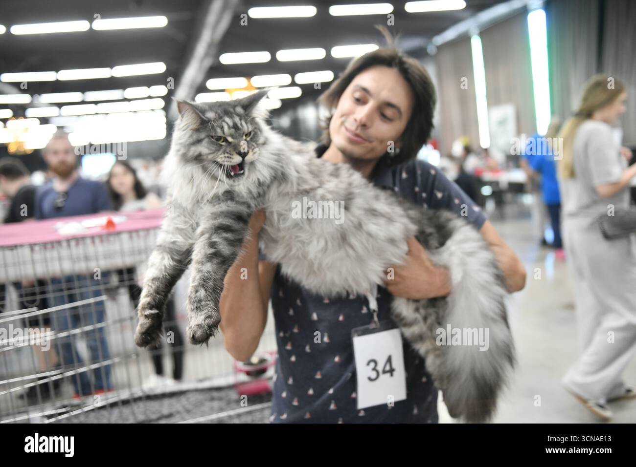 International Cat Show 2025 - WCF Jubilee attracts numerous visitors on ...