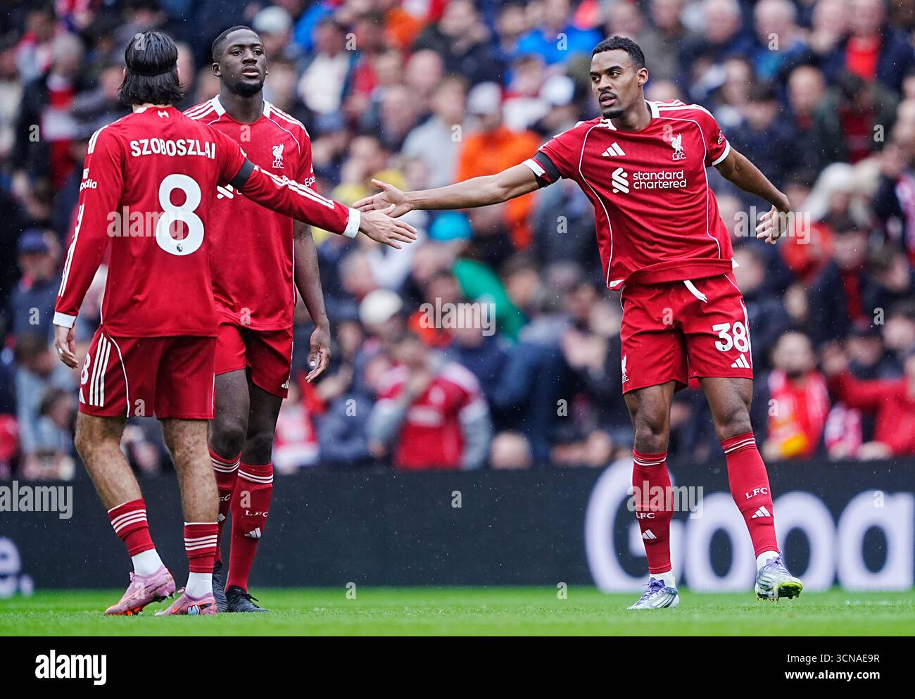 Liverpool's Ryan Gravenberch (right) celebrates scoring their side's ...