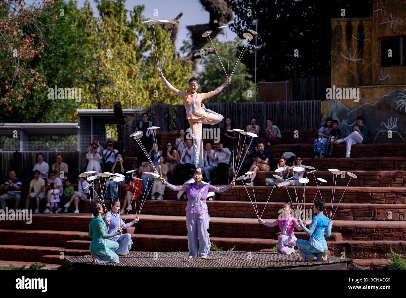 Traditional Chinese acrobatic performance during the birthday of the ...