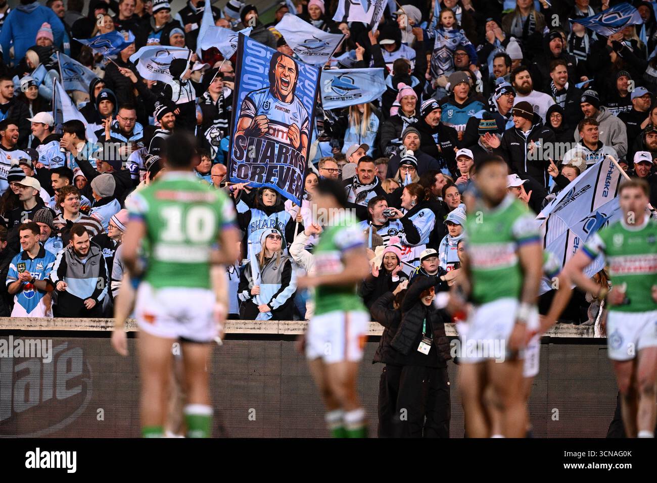 Sharks supporters celbrate a Teig Wilton try during the NRL Semi-Final ...