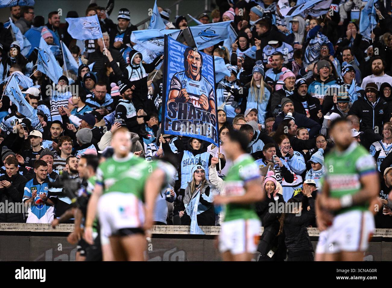 Sharks supporters celbrate a Teig Wilton try during the NRL Semi-Final ...